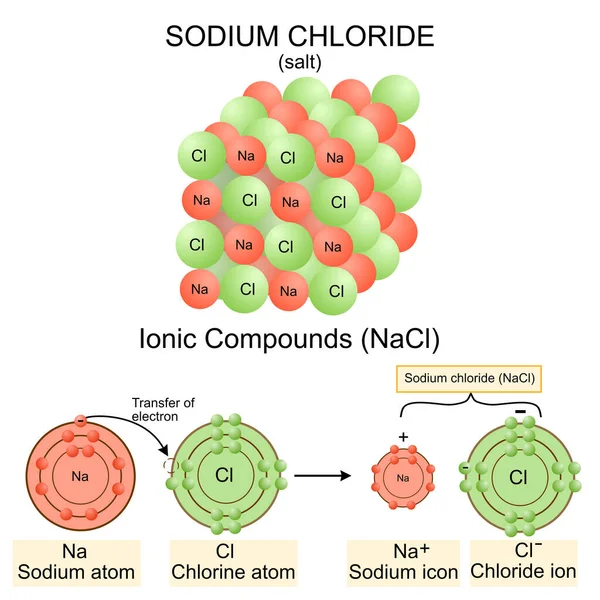 Salt Molecule Model
