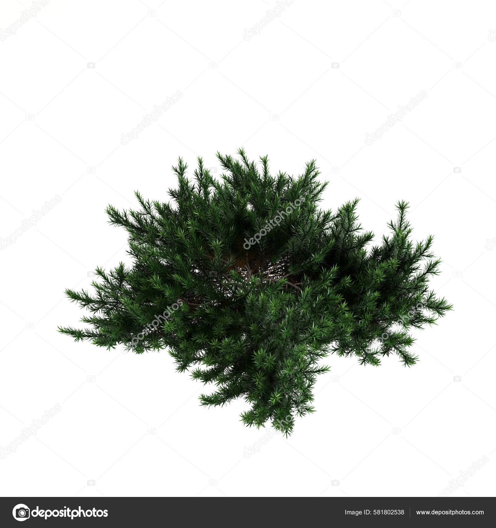 Illustration Shrub Isolated White Background Bird's Eye View — Stock ...