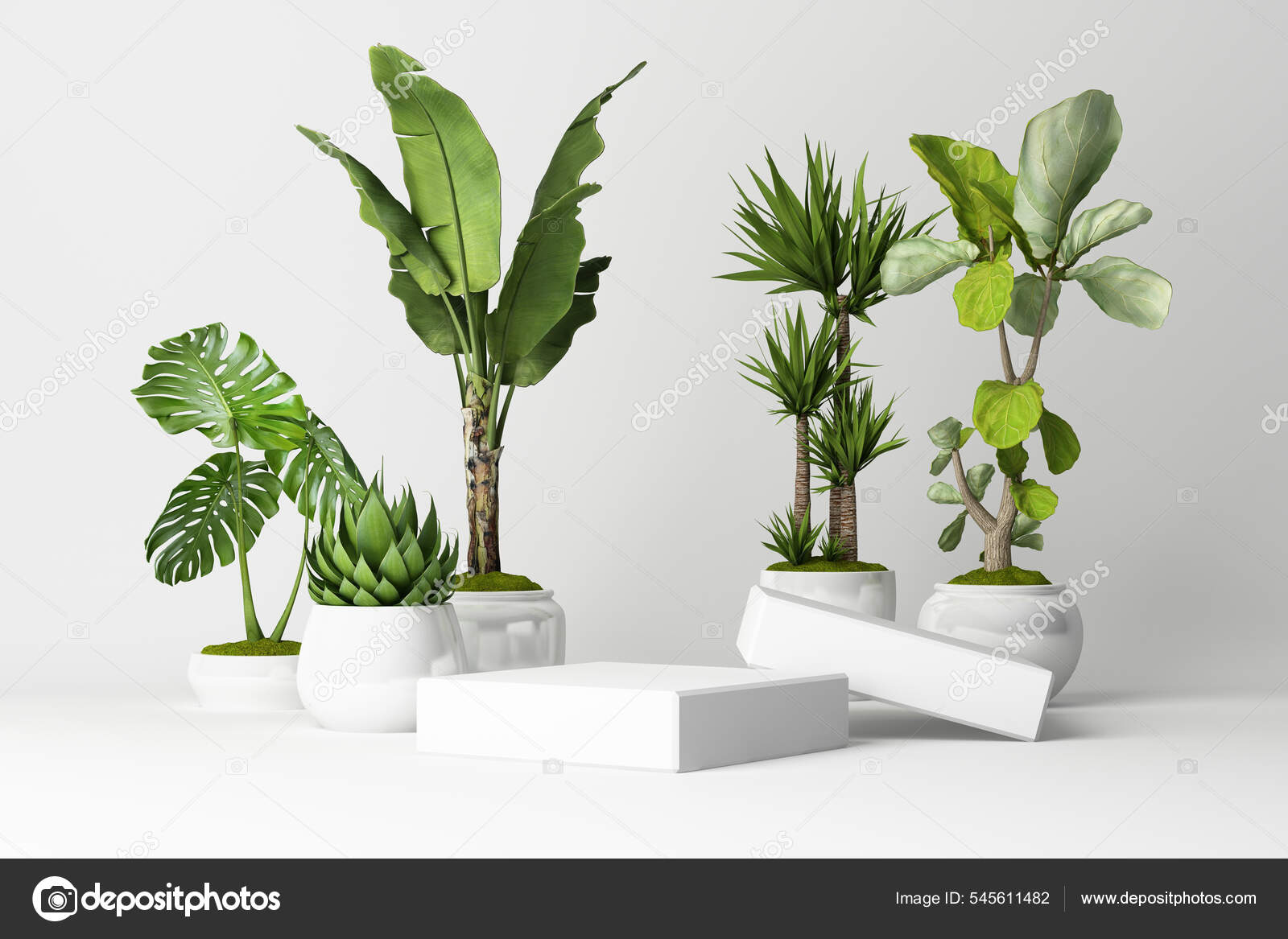 Render Tropical Plants Isolated White Background Stock Photo by ...