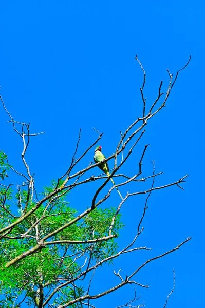 Biodiversity lookout Stock Photos, Royalty Free Biodiversity lookout ...