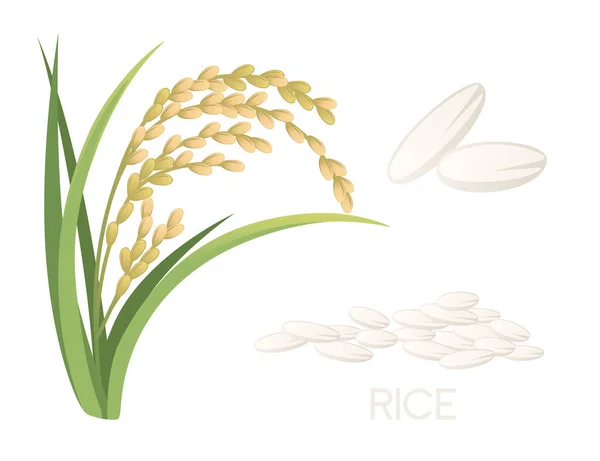 100,000 Rice sketch Vector Images | Depositphotos