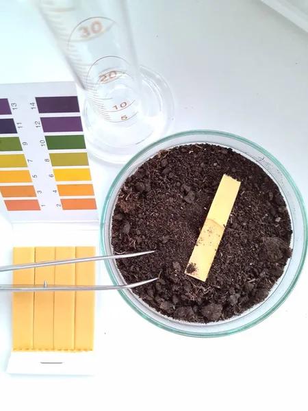 Soil test kit Stock Photos, Royalty Free Soil test kit Images ...