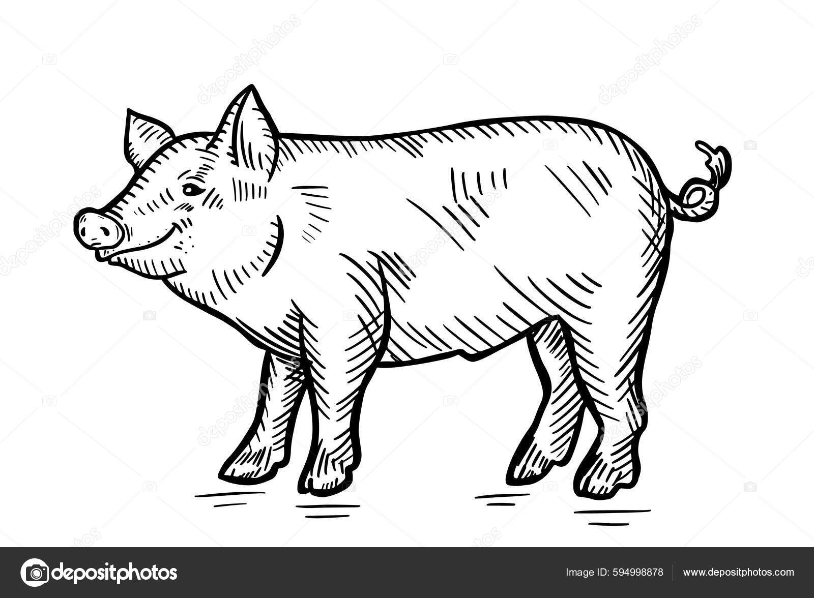 Mage Cheerful Pig Farming Livestock Vector Illustration Stock ...