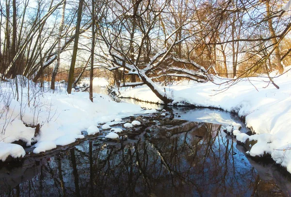 Winter River Scenes