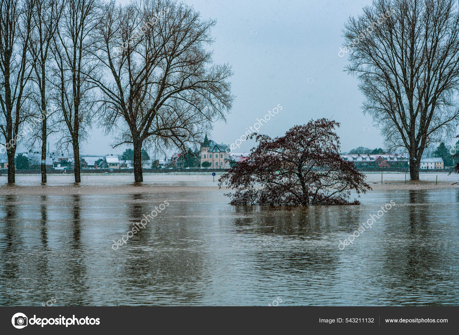 Flood Rhine Cologne Winter Germany — Stock Photo © BK1963 #543211132