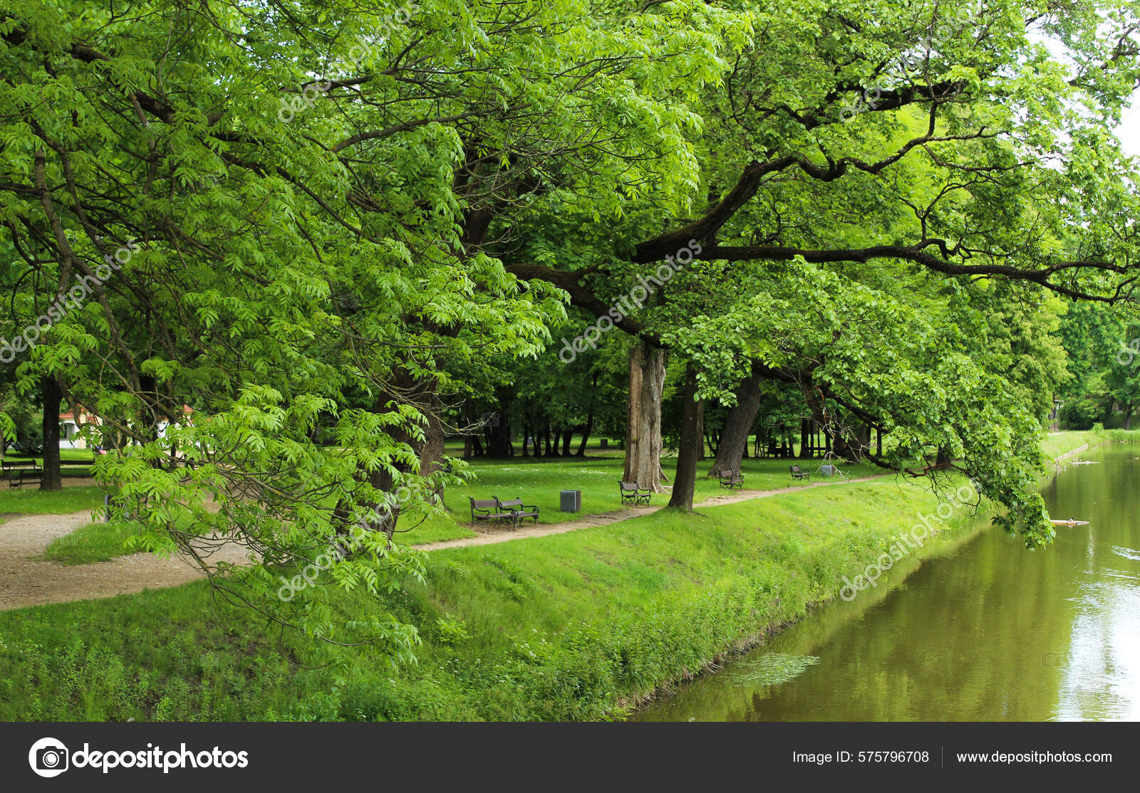 2022 Bialystok Poland Bench Trees Old Park – Stock Editorial Photo ... 2022 Bialystok Poland Bench Trees Old Park – Stock Editorial Photo ...