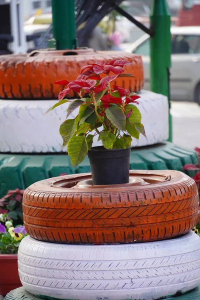 Tire flowers Stock Photos, Royalty Free Tire flowers Images | Depositphotos