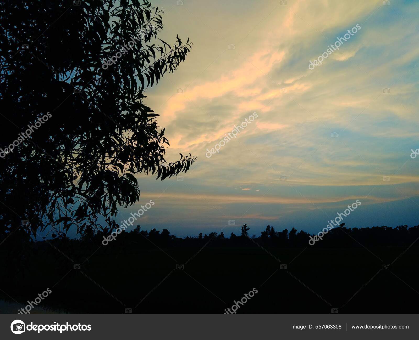 Evening Falling Nature Completely Calm 'Waiting Sun Set' — Stock Photo ...