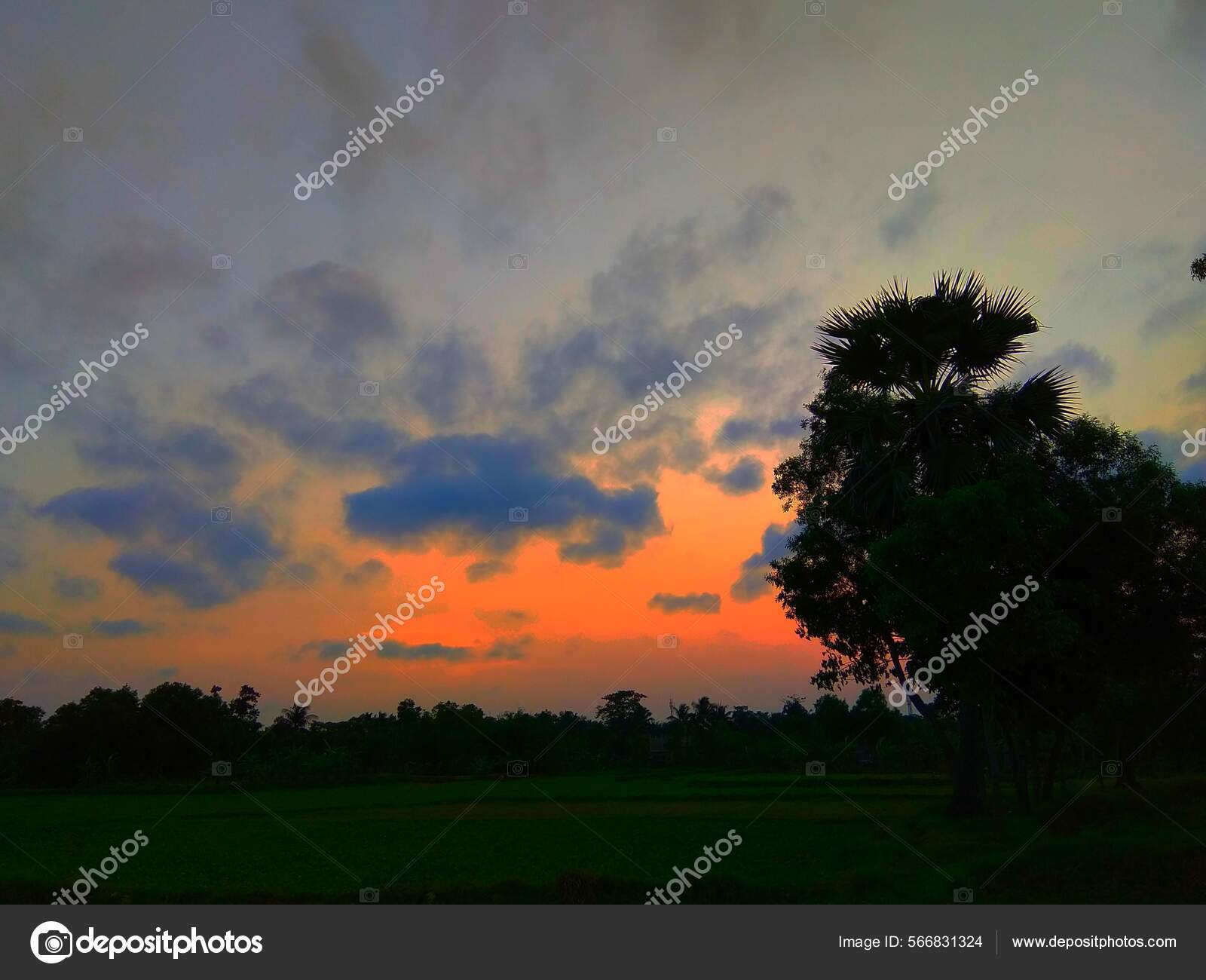 Beautiful Scenery It's Rural Landscape Waiting Sun Set Nature Has ...