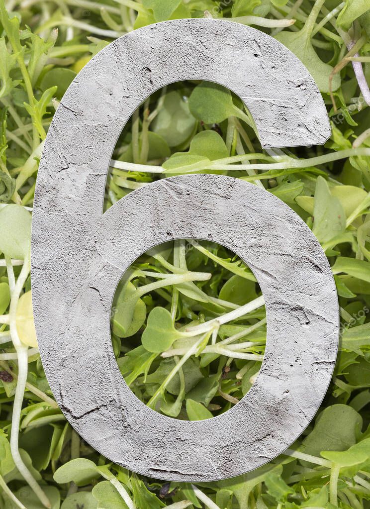 Number 6 with concrete texture, on nature background 2023