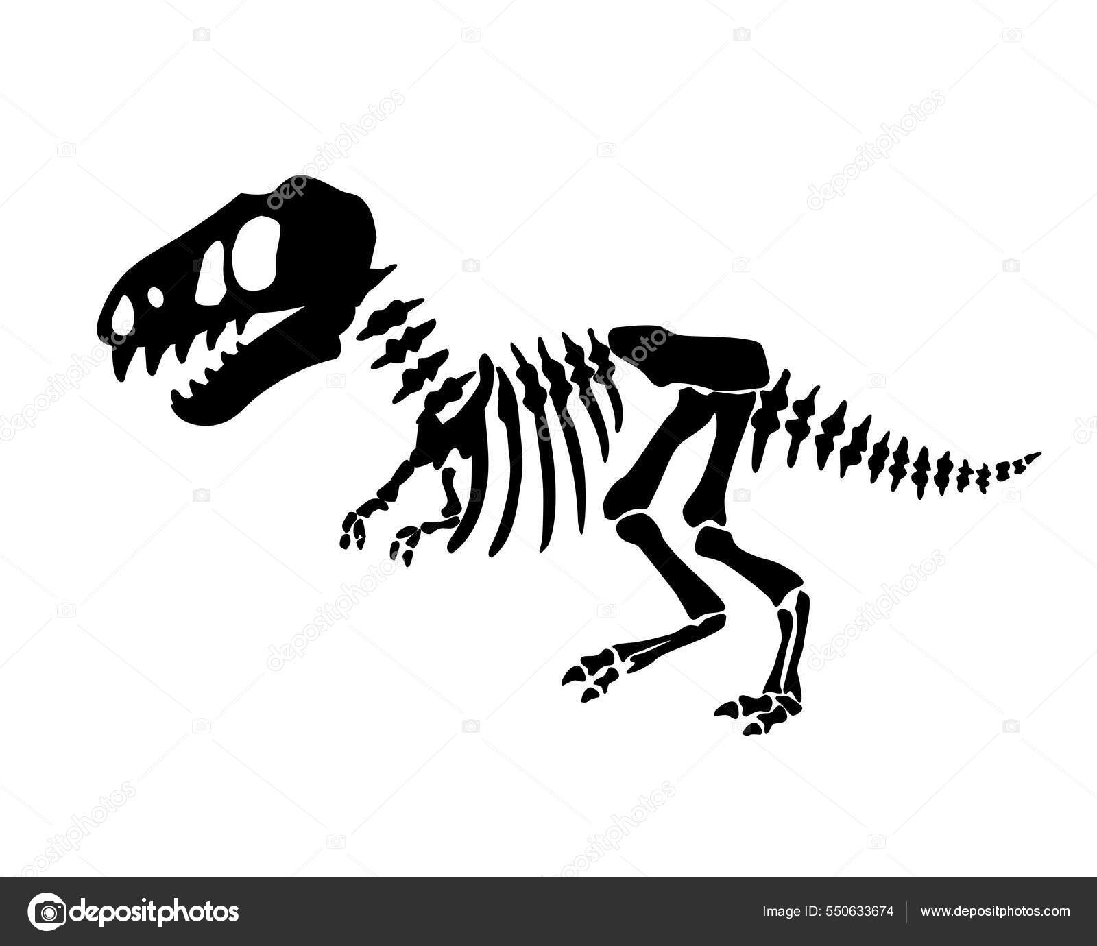 Esqueleto de dinosaurio. Silueta vectorial de un esqueleto de ...