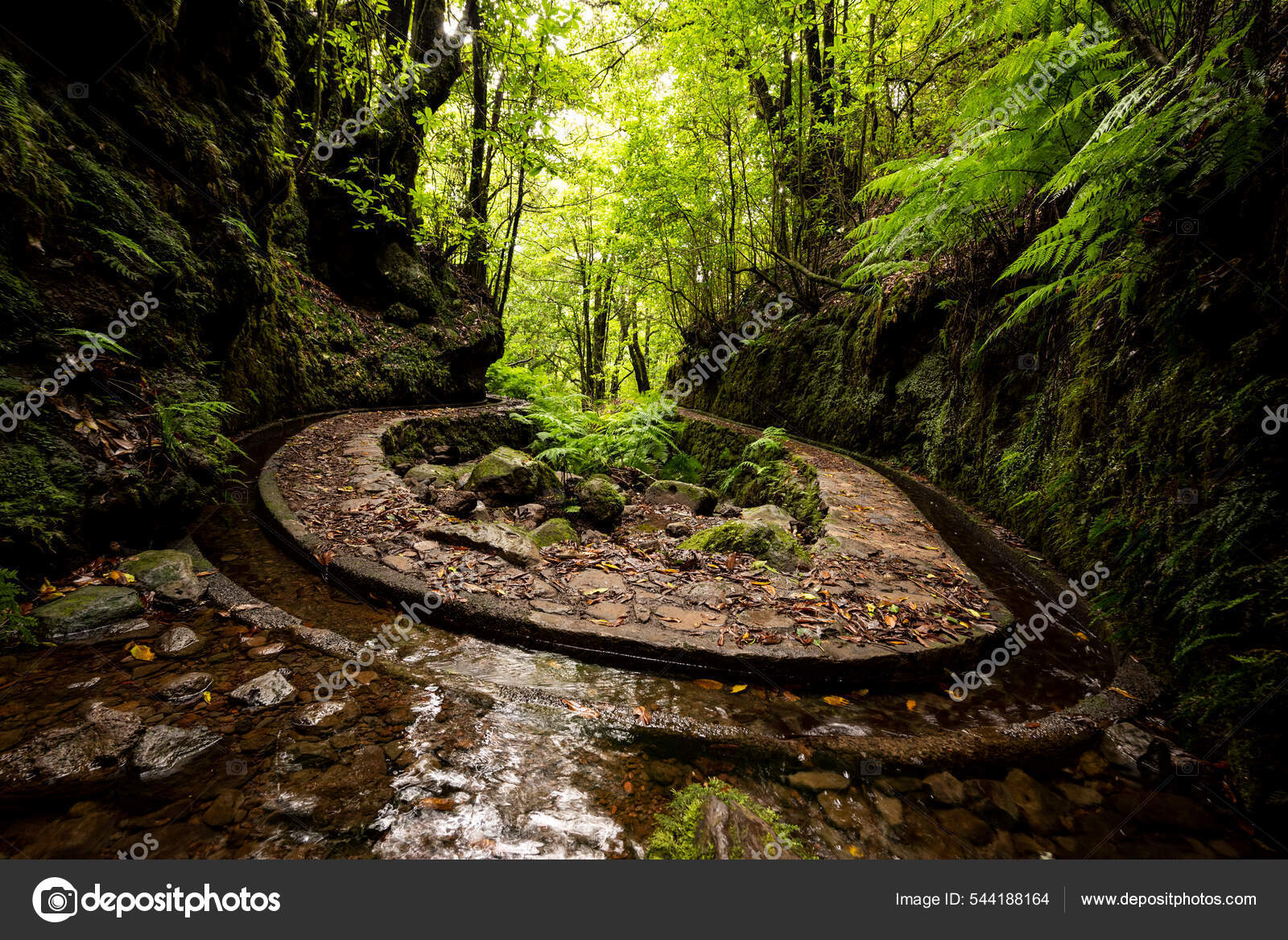 Curve Water Channel Footpath Levada Dos Cedros Hiking Trail Narrow ...