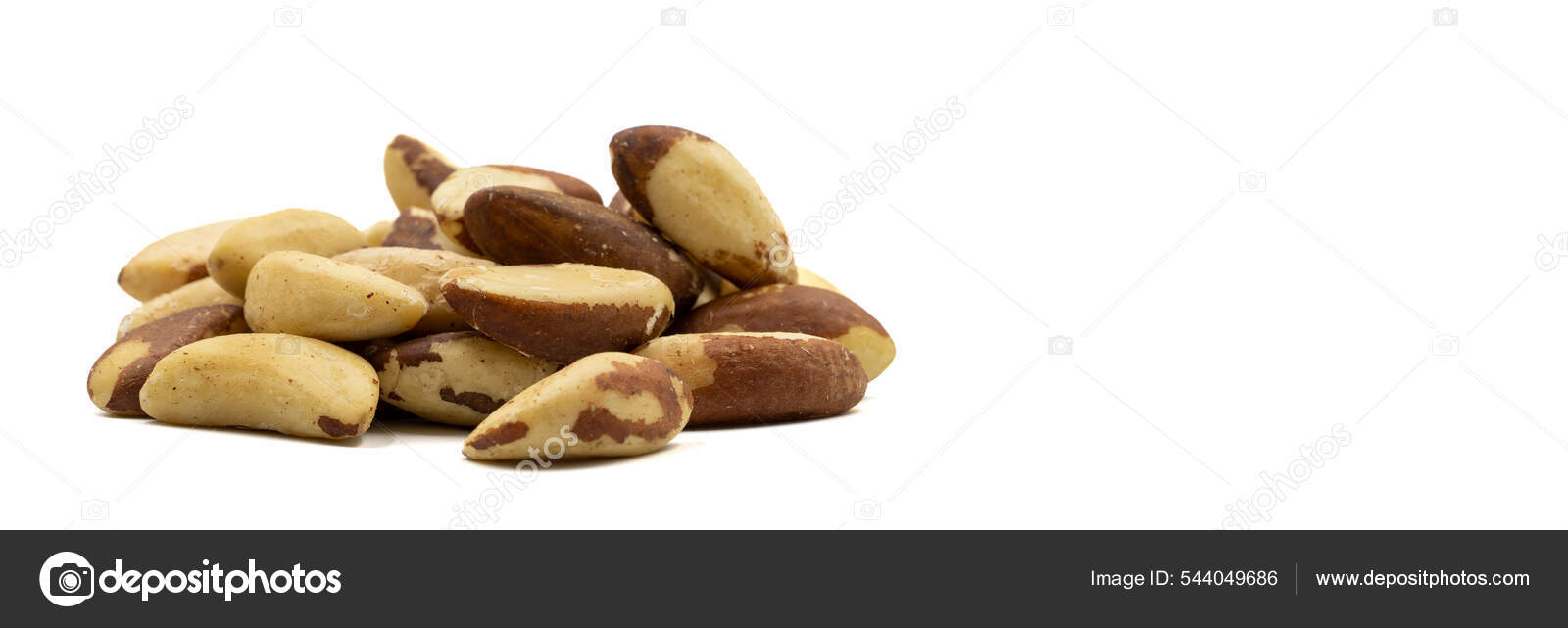 Brazil Nut Isolated White Background Snack Nuts Close Empty Space ...
