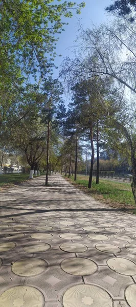 Park profile Stock Photos, Royalty Free Park profile Images | Depositphotos