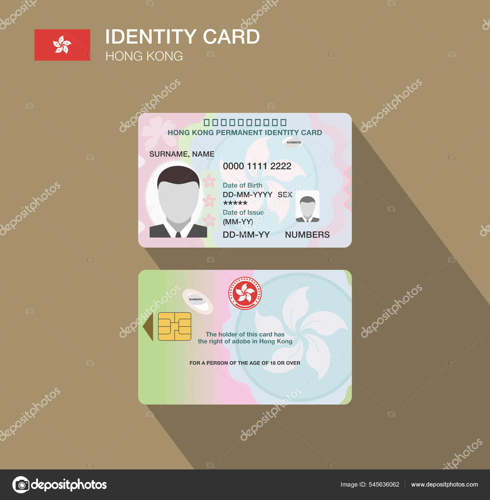香港身份证 平面矢量图解模板 图库矢量图©flatvectors 545636062