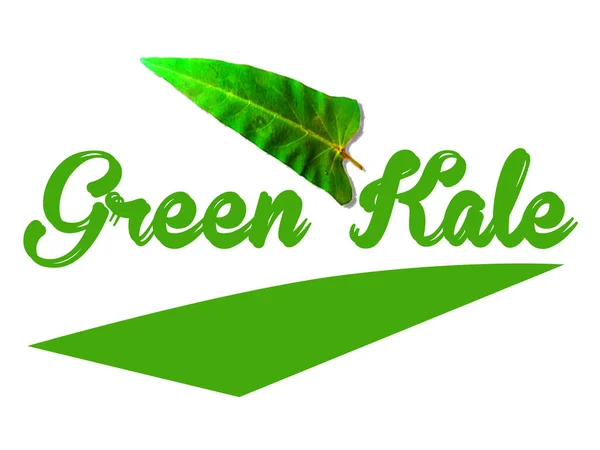 Green background logo Stock Photos, Royalty Free Green background logo ...