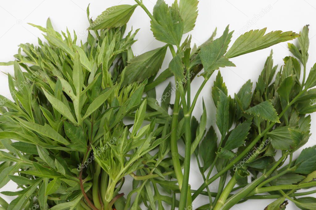 Malasia malayo a base de hierbas aperitivo plato daun ulam raja selom ...