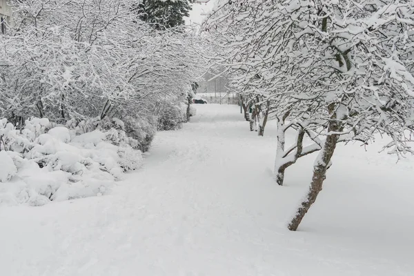 Snow lane Stock Photos, Royalty Free Snow lane Images | Depositphotos