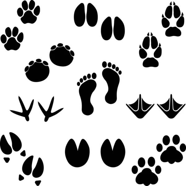 Empreinte animale images libres de droit, photos de Empreinte animale ...