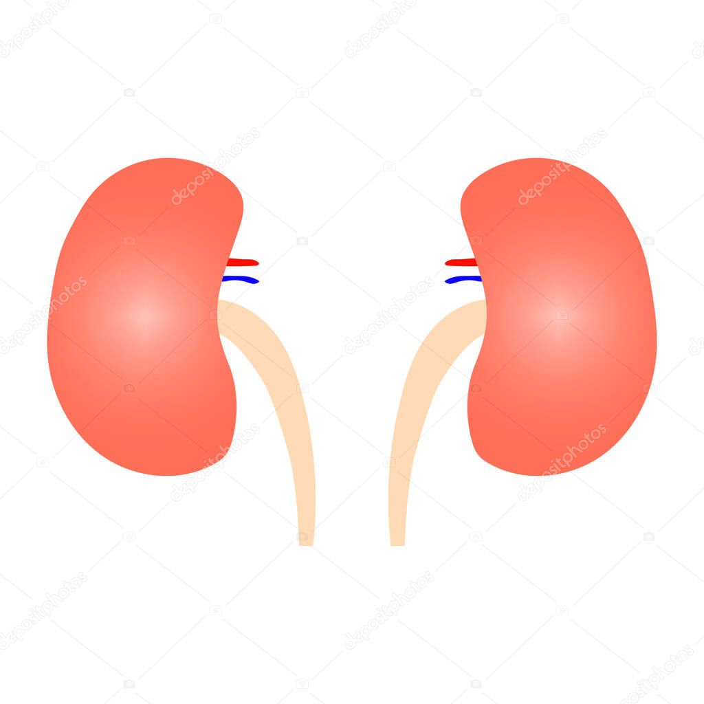 Ri n humano en estilo de dibujos animados. Ilustraci n vectorial. imagen de stock. EPS 10. 2024