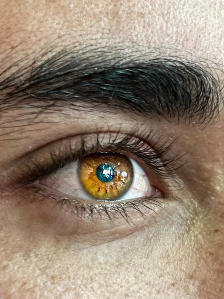 Amber eyes man Stock Photos, Royalty Free Amber eyes man Images ...