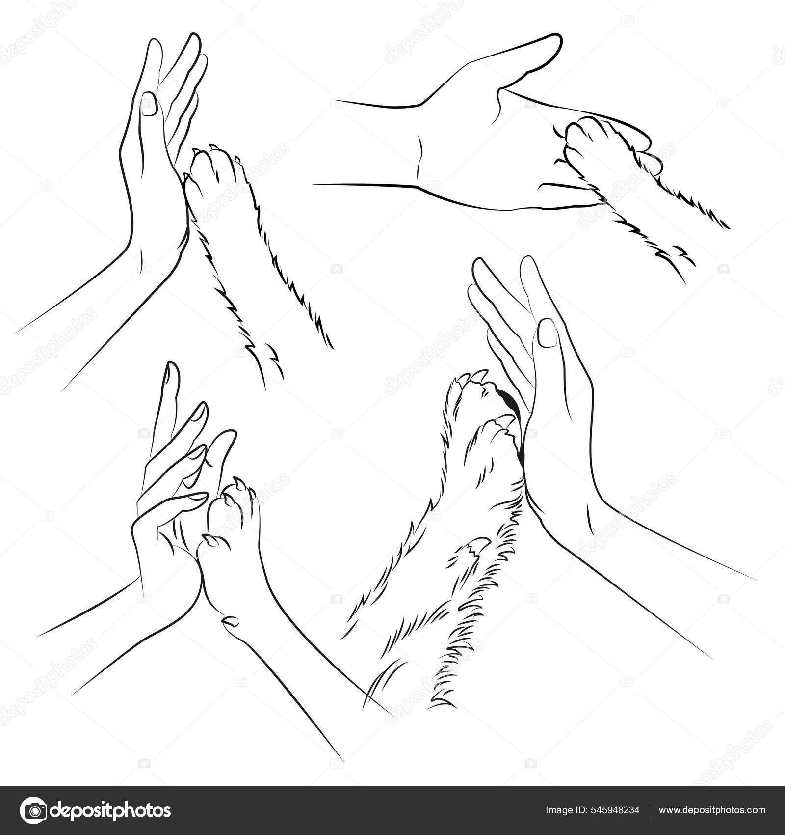 Lidská Ruka Psí Tlapa Sada Výkresů Osnovy Stock Vector od © MariaView ...