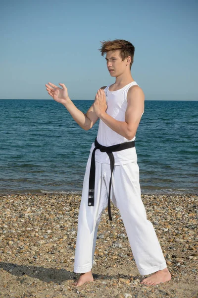 Sandy karate Stock Photos, Royalty Free Sandy karate Images | Depositphotos