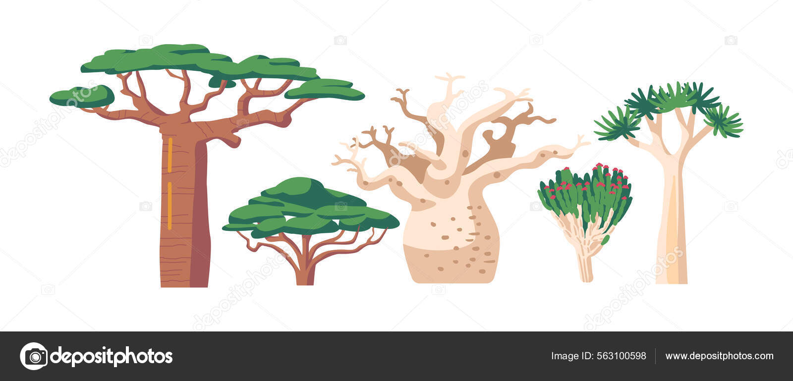 Bioma Tropical y Subtropical de la Selva Tropical, Vegetación Africana ...