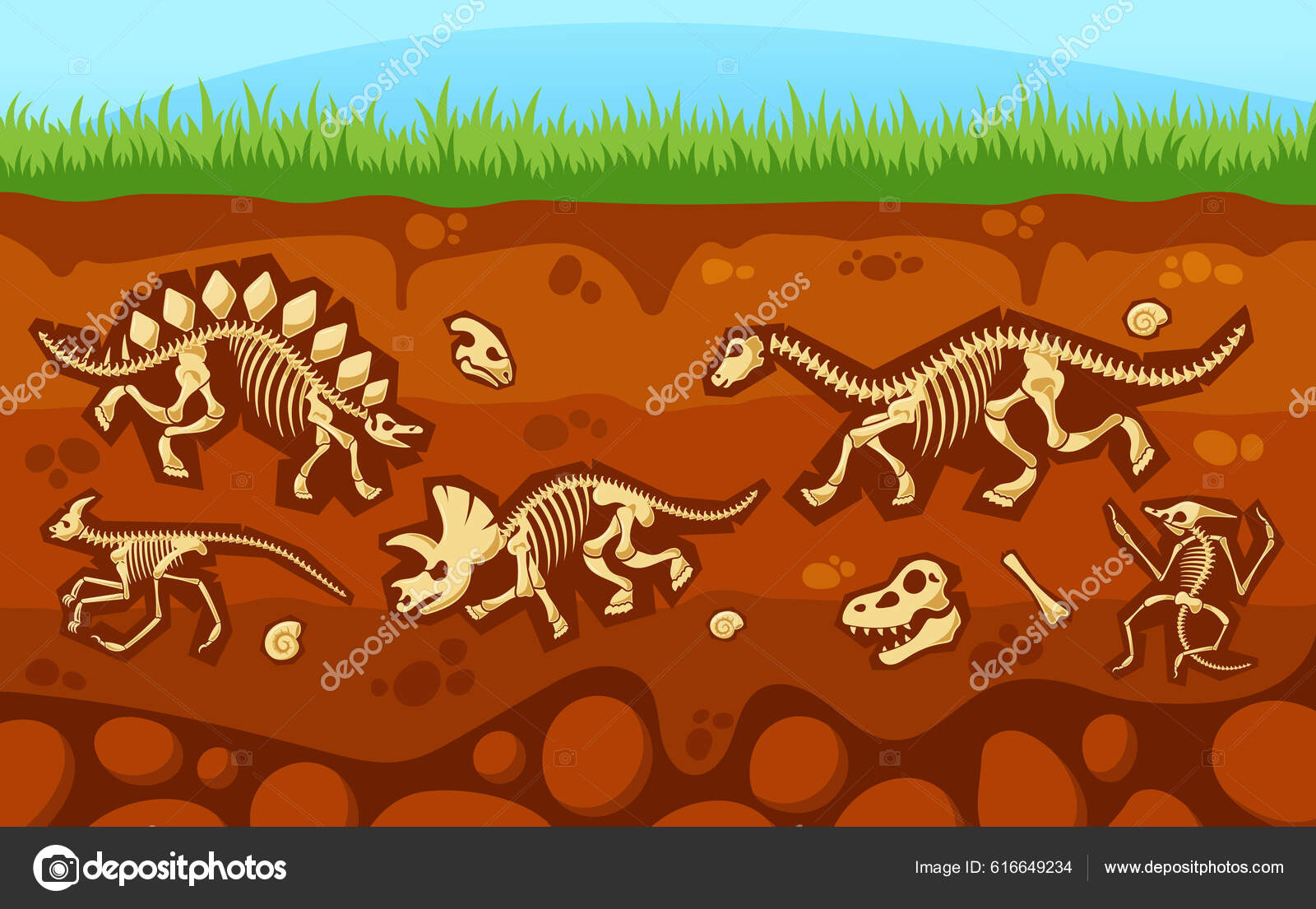 Dinosaurs Skeletons Underground Cross Section View Buried Fossils ...