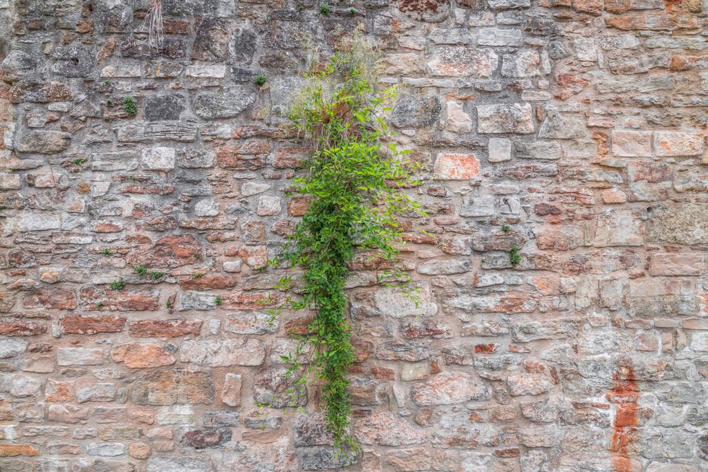 Canal n de agua piedra en una antigua pared de piedra de mamposter a ...