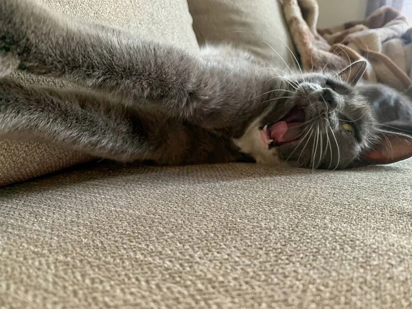 Weekend plans Stock Photos, Royalty Free Weekend plans Images ...