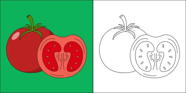 100,000 Desenho fases tomate Vector Images | Depositphotos