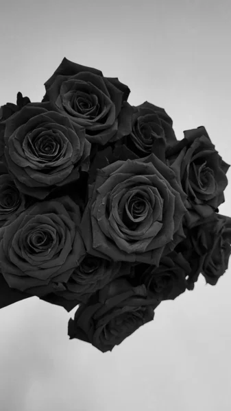 Black roses Stock Photos, Royalty Free Black roses Images | Depositphotos