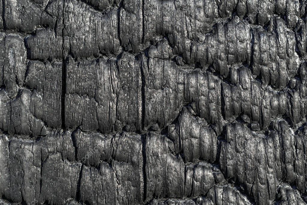 Burnt wooden board texture. Sho Sugi Ban Yakisugi is a traditional ...