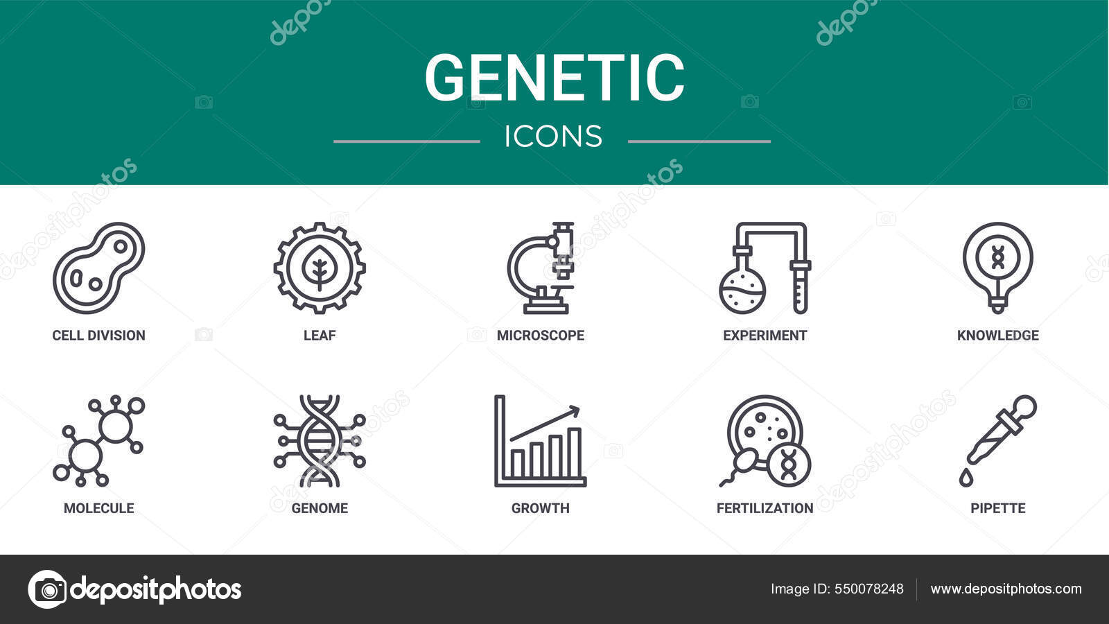 Set Outline Web Genetic Icons Cell Division Leaf Microscope Experiment ...