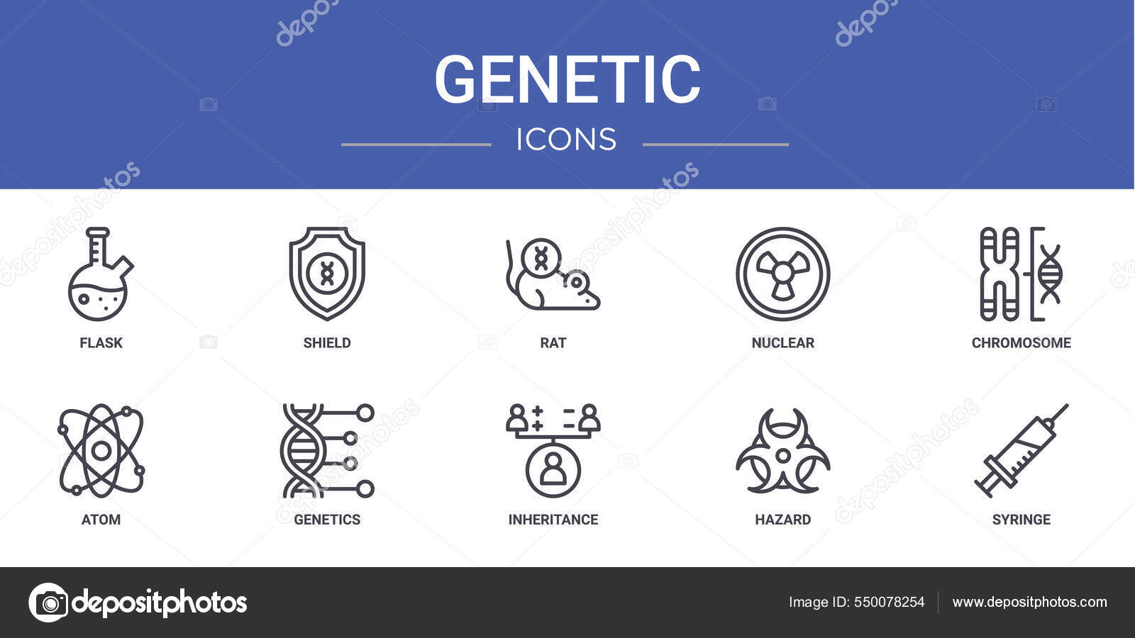 Set Outline Web Genetic Icons Flask Shield Rat Nuclear Chromosome Stock ...