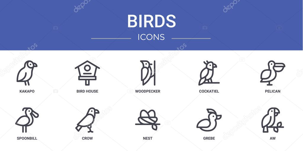 conjunto de 10 iconos de aves web esquema tales como kakapo, casa de ...