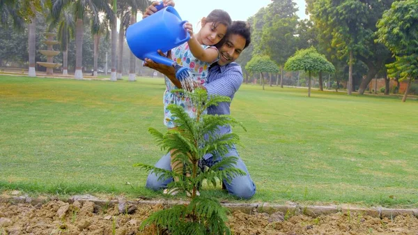 Tree planting team Stock Photos, Royalty Free Tree planting team Images ...