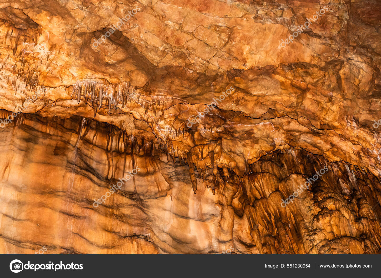 Vadu Crisului Cave Padurea Craiului Mountains Apuseni Romania Stock ...