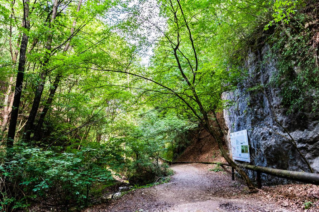GEOAGIU BAI, ROMANIA - 25 de agosto de 2022: El camino forestal hacia ...