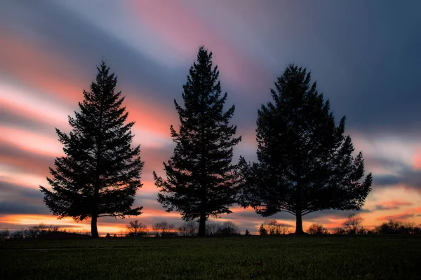 Trees sunset Stock Photos, Royalty Free Trees sunset Images | Depositphotos