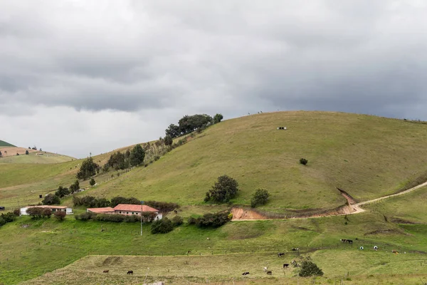 Colombia rural Stock Photos, Royalty Free Colombia rural Images ...