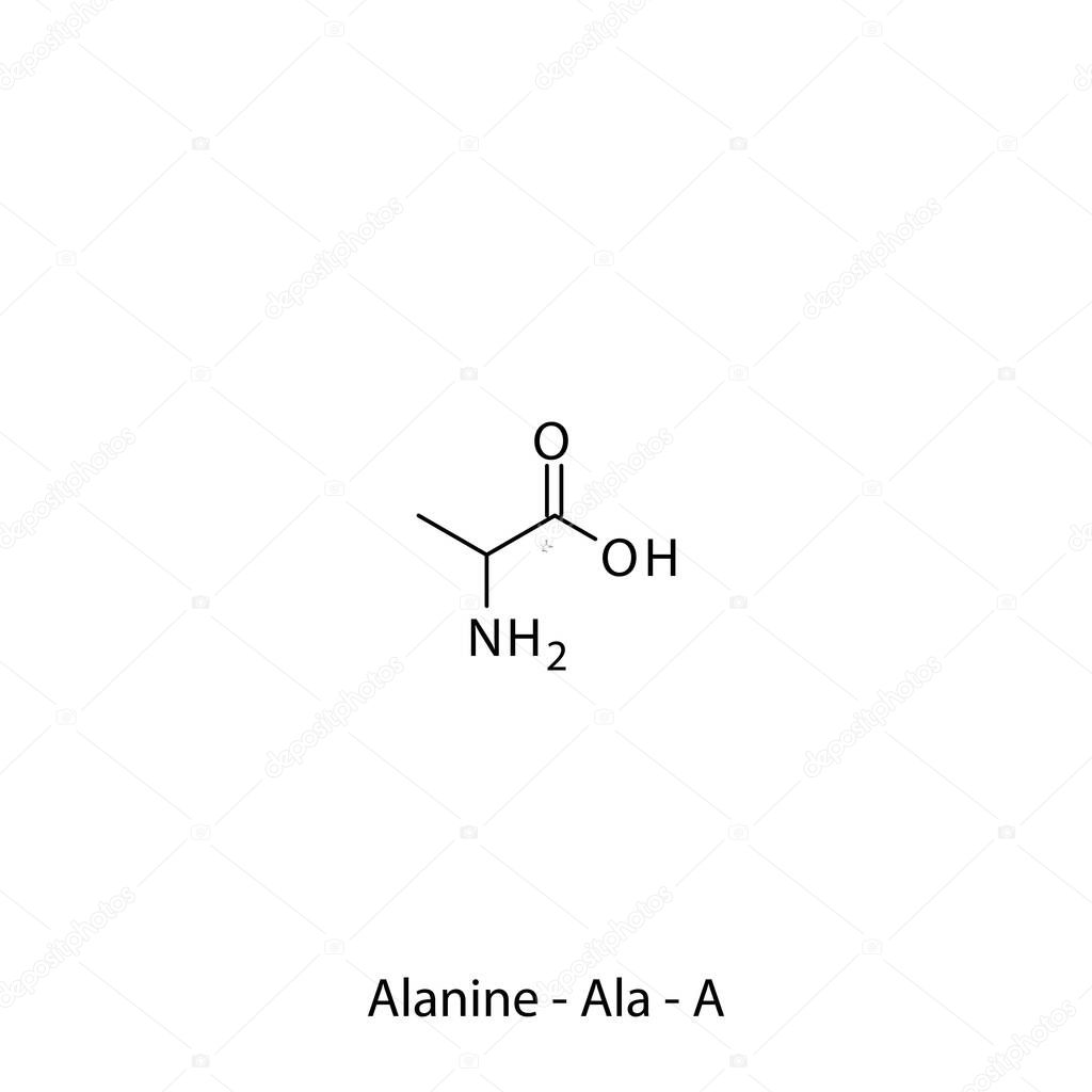 Alanina - Ala - A - Aminoácido no esencial simple fórmula esquelética e ...