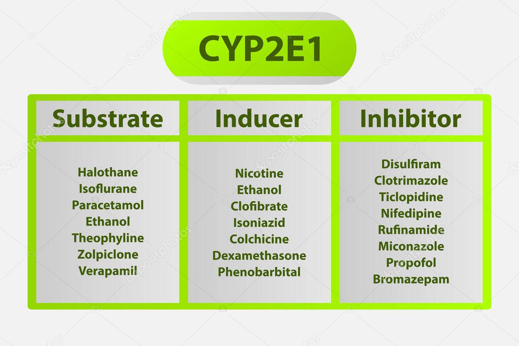 CYP2E1 Citocromo p450 sustratos farmacéuticos enzimáticos, inhibidores ...
