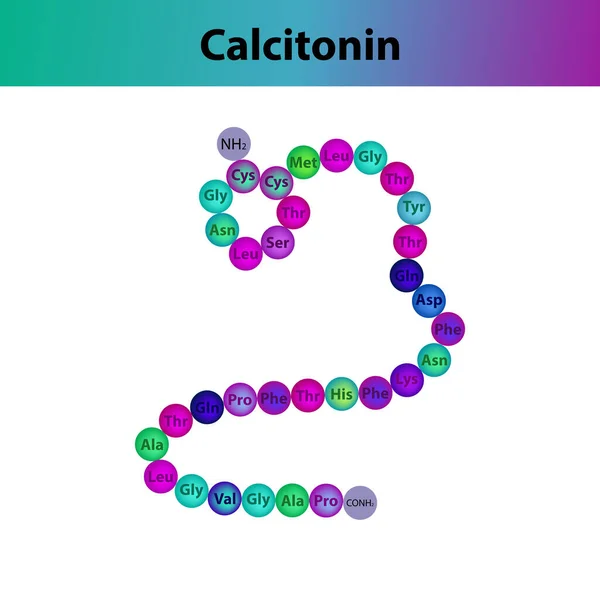 Pth Parathyroid Hormone Hormone Peptide Primary Structure Biomolecule ...