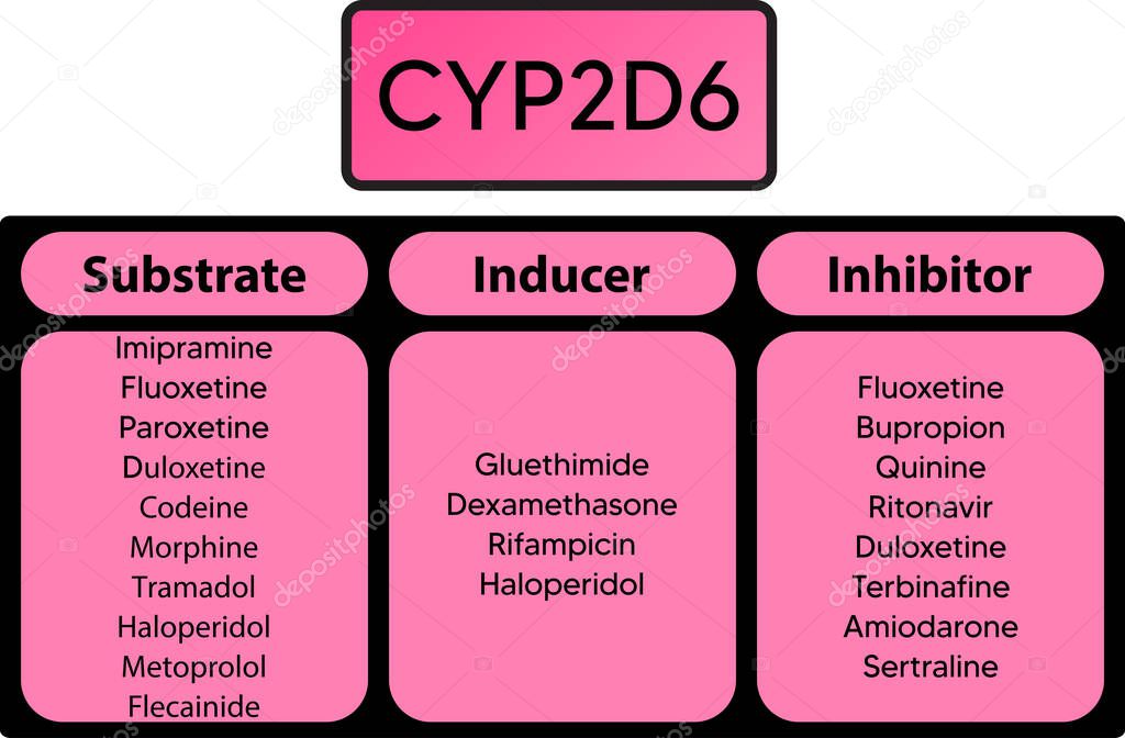CYP2D6 Citocromo p450 sustratos farmacéuticos enzimáticos, inhibidores ...