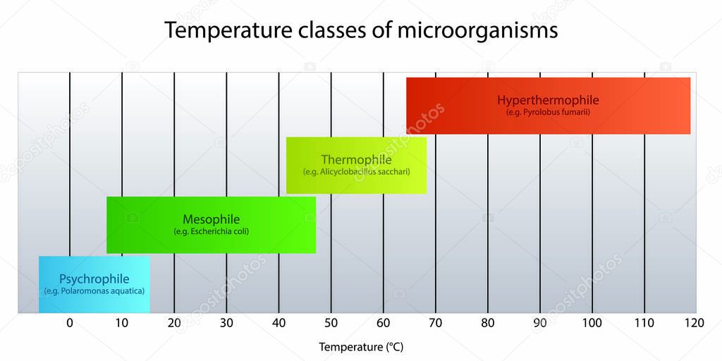 Diagram of microorganism classification by optimal growth temperature ...