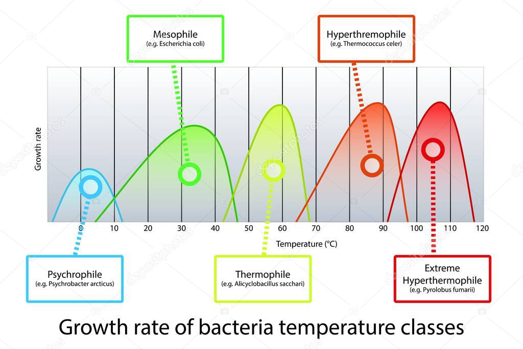 Diagram of microorganism optimal temperature range - Psychrophile ...