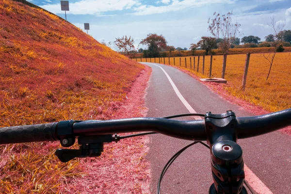 landscape with bicycle wheel rolling on beautiful pink and red road in ...
