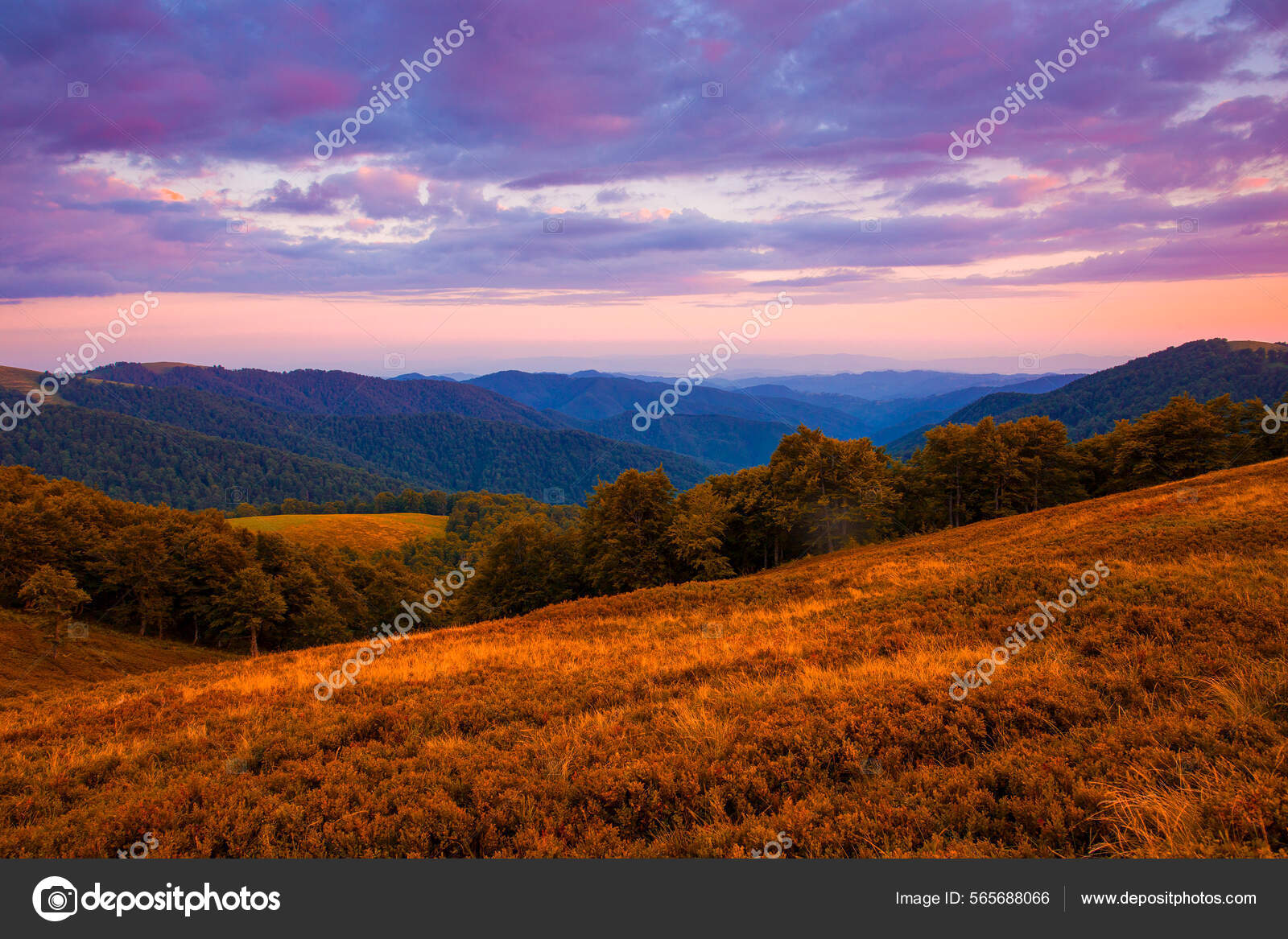 Ukraine Nature Wallpaper